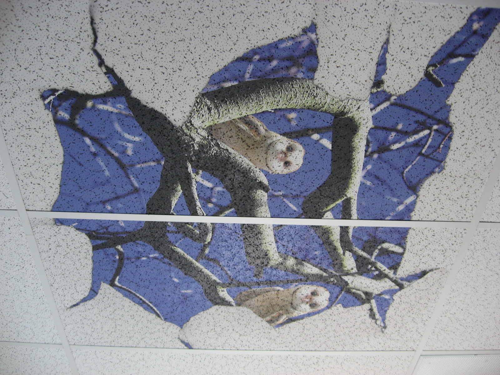 Flatbed Printing on Ceiling Tiles | megaprintinc