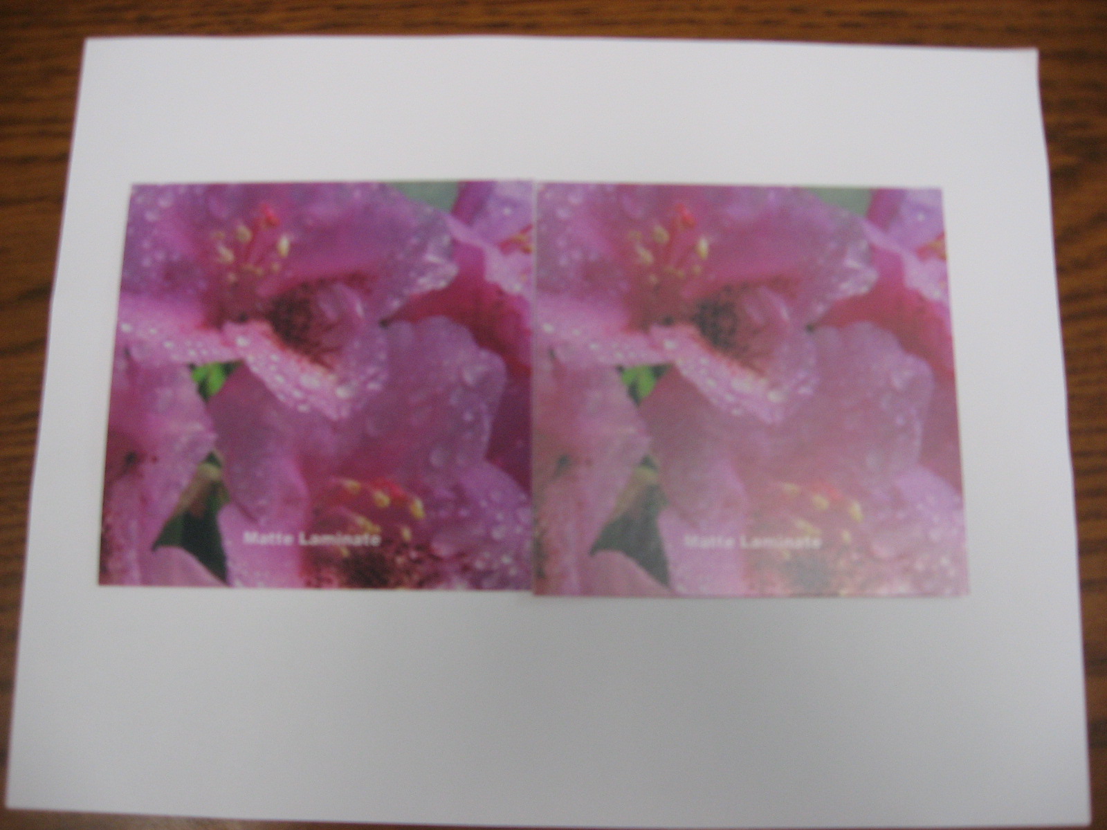 New Matte Laminate | megaprintinc