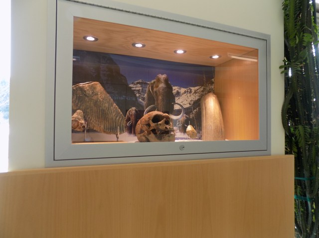 Background for a Display Case | megaprintinc