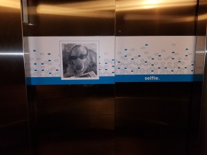 Adhesive Vinyl on an Elevator | megaprintinc