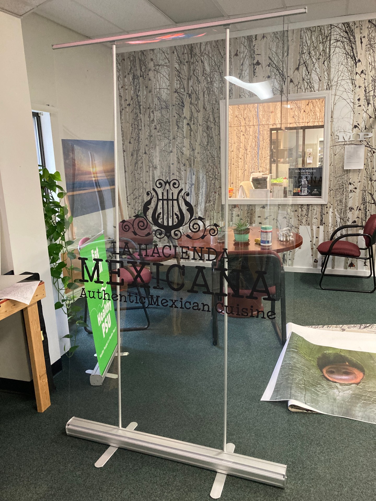 Clear Roll-Up Partitions | megaprintinc